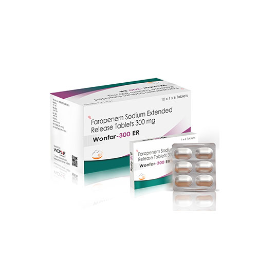 Wonfar 300 SR – wonneinternational